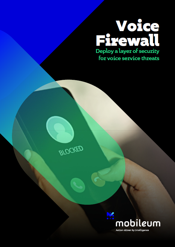 Datasheet | Voice Firewall